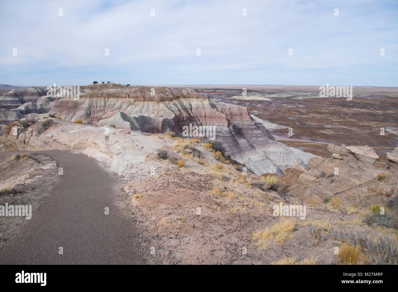 Painted Desert, Petrified Forest National Park in Arizona Stock Photo ...