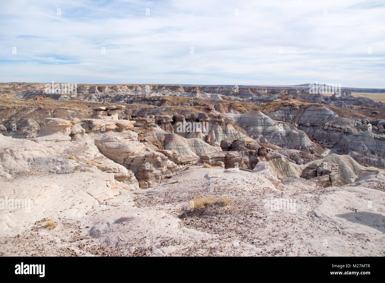 Painted Desert, Petrified Forest National Park in Arizona Stock Photo ...