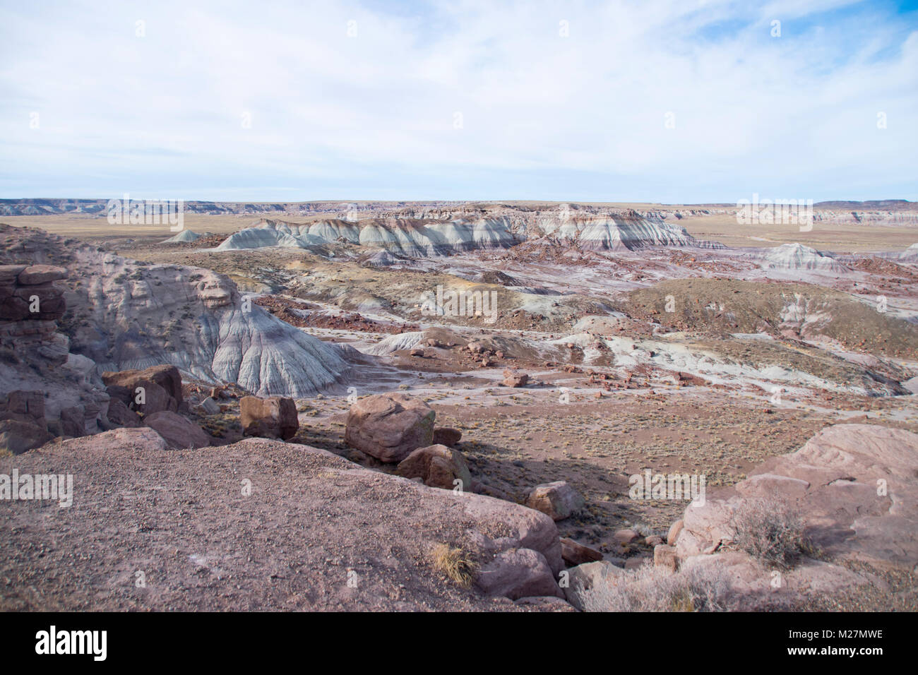Painted Desert, Petrified Forest National Park in Arizona Stock Photo ...