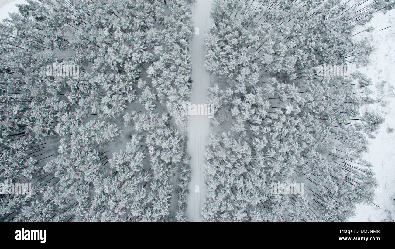 Winter forest and the road. View from above. The photo was taken with a ...