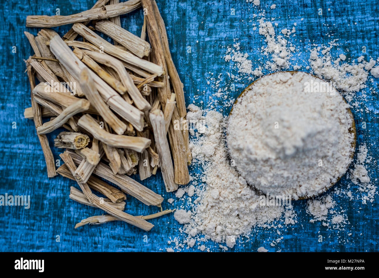 Close up of ayurvedic herb satavari,Asparagus racemosus with its powder ...