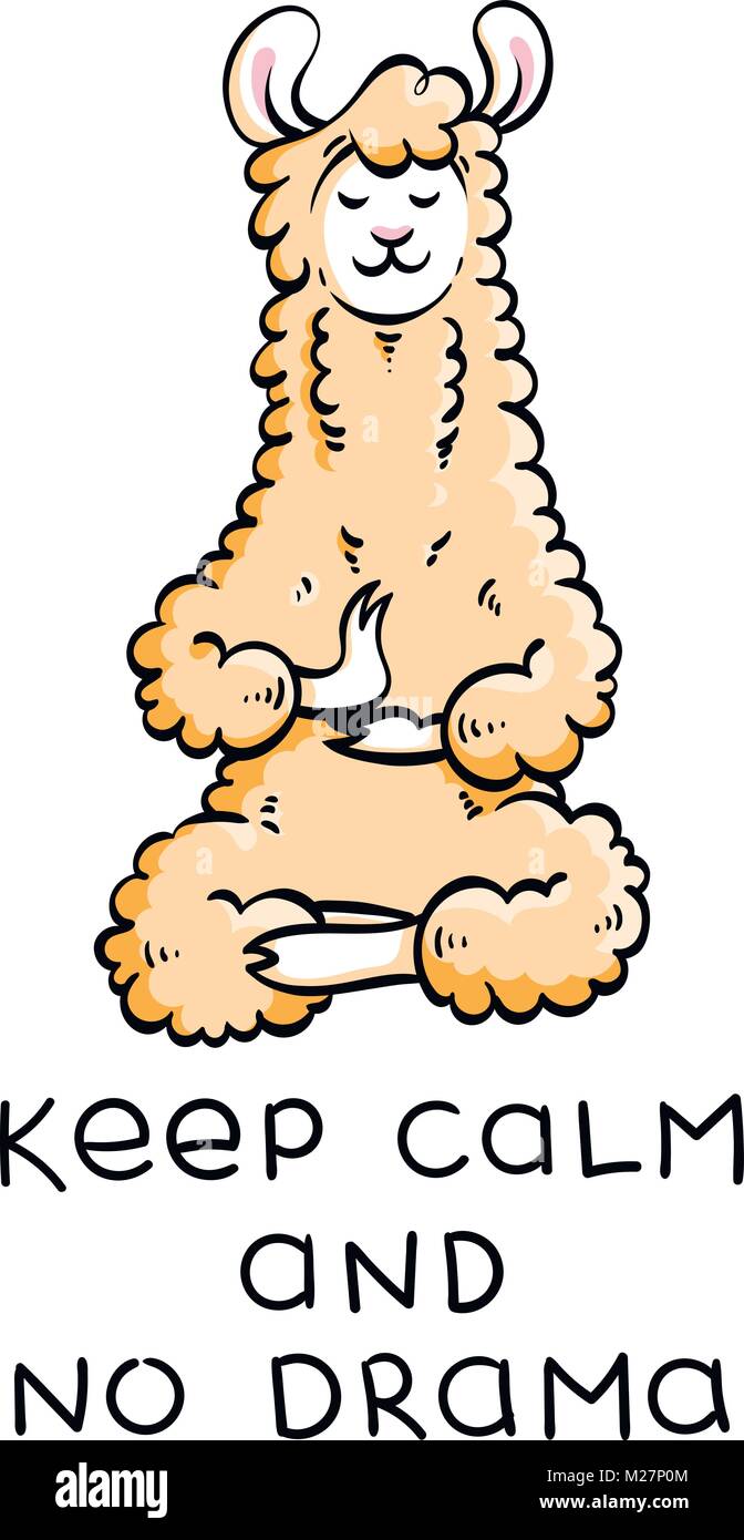 Cute meditating furry llama. Vector cartoon illustration on a white ...