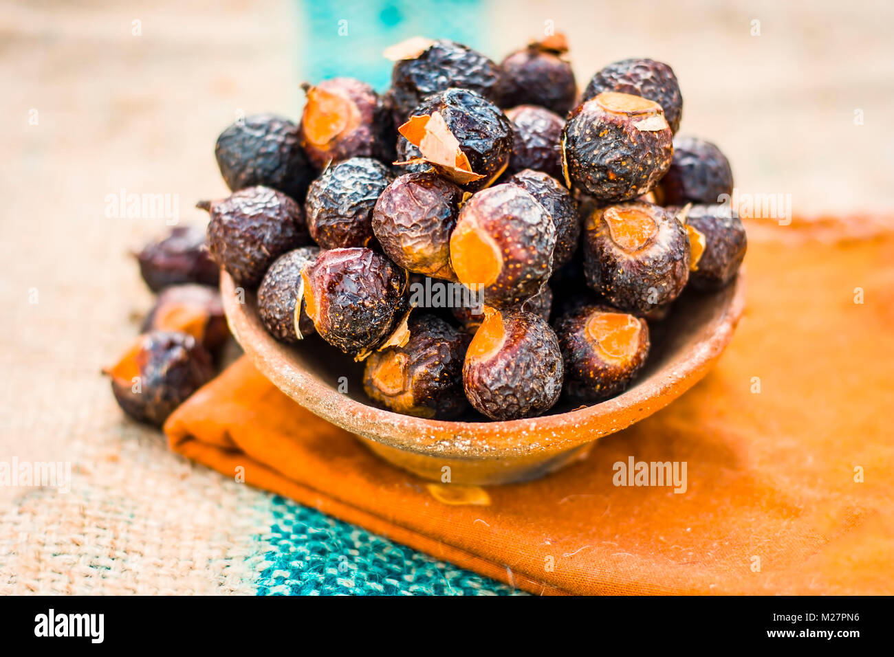 Chinese soap berry soap nut tree hi-res stock photography and images ...