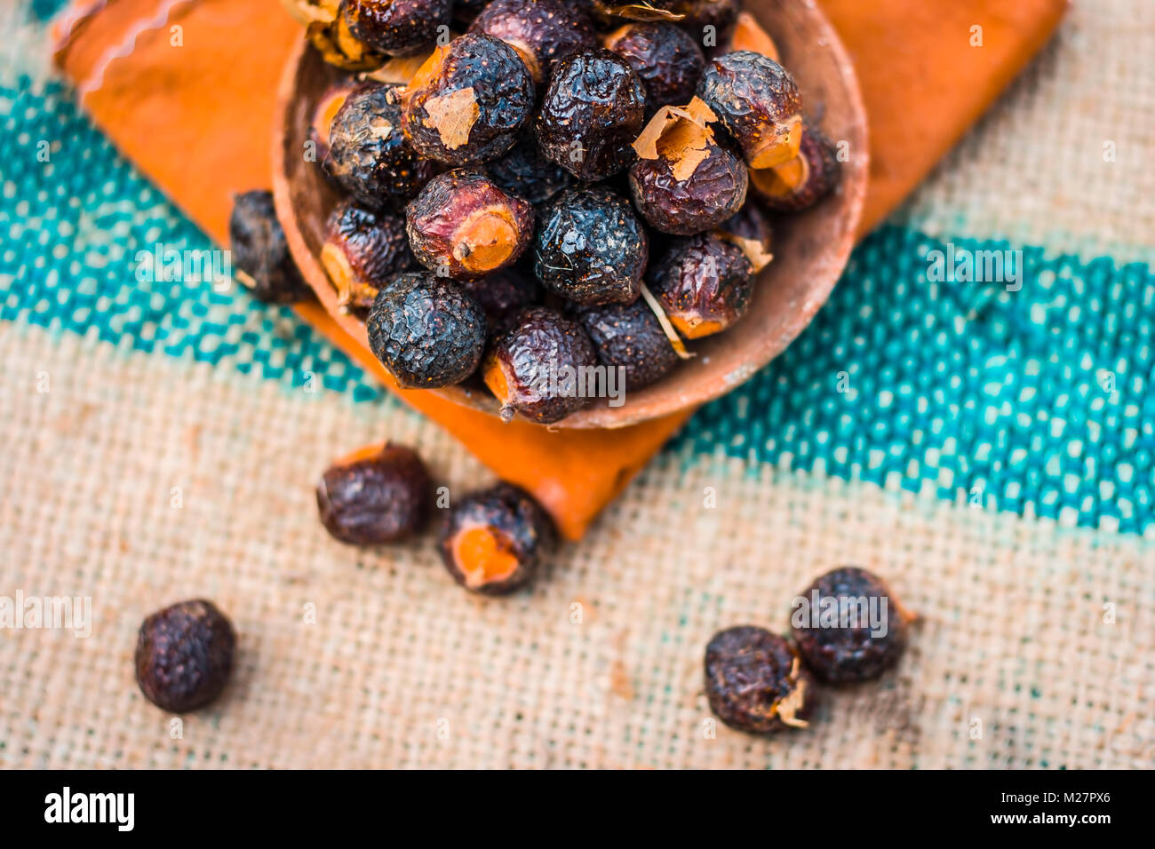 Soapberry sapindus hi-res stock photography and images - Alamy