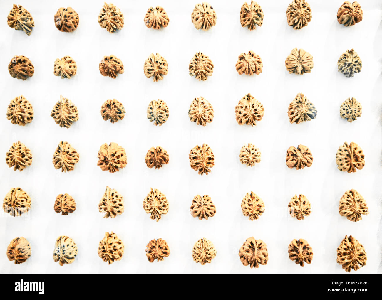 series of nuts Stock Photo - Alamy