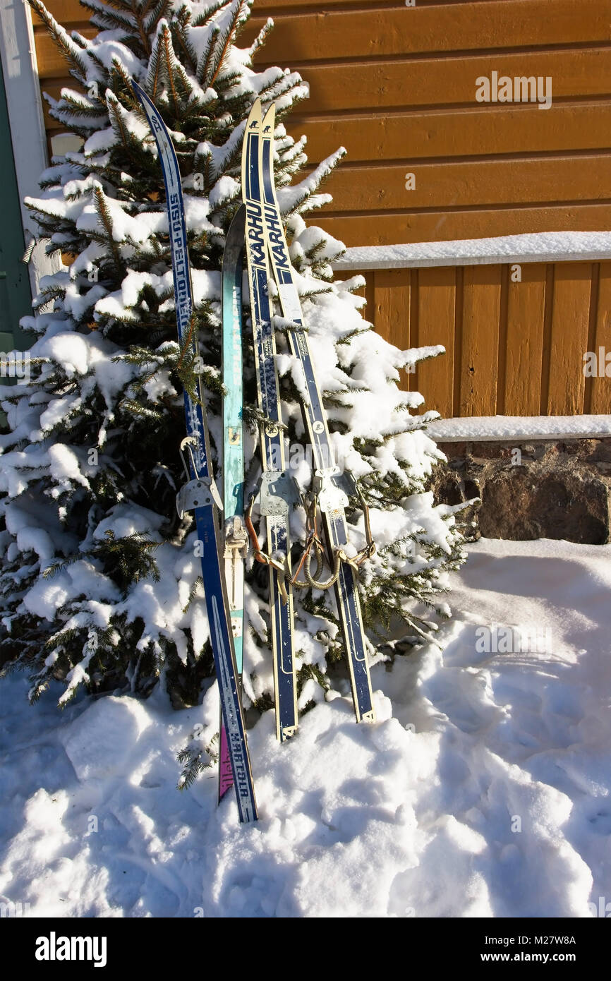 old cross-country skis leaning on tree, Finland Stock Photo - Alamy