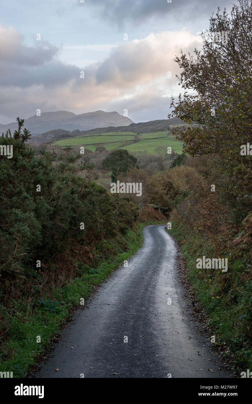 Walk in the lane hi-res stock photography and images - Alamy