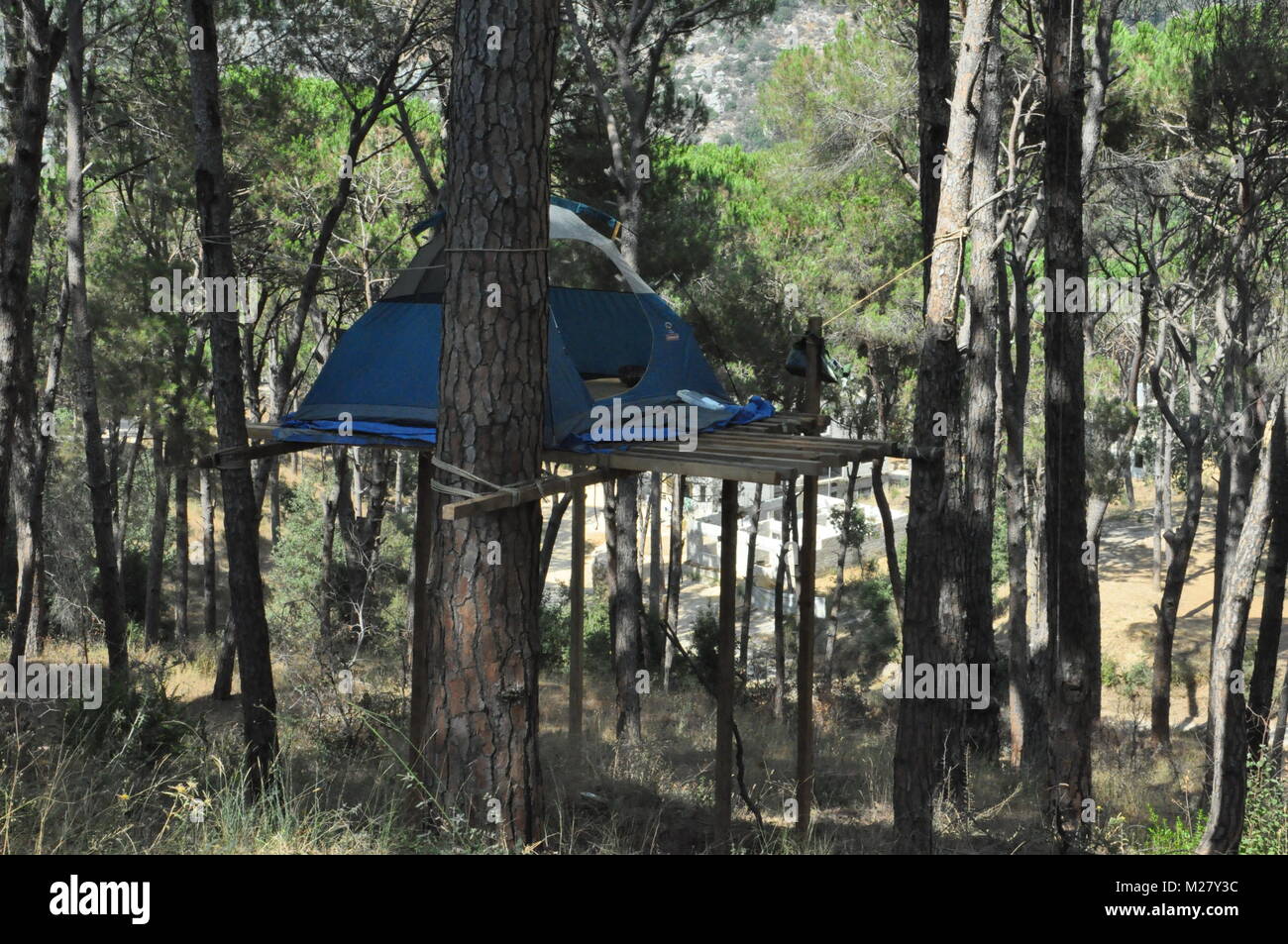Tent hanging in the trees Stock Photo - Alamy