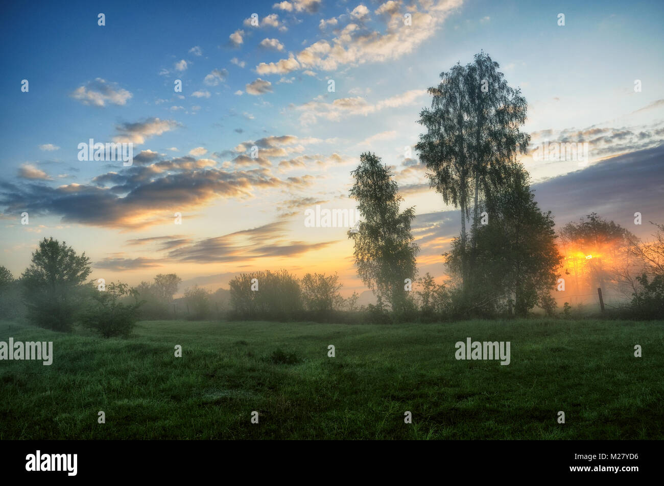 spring morning. a misty dawn in a picturesque meadow. Sun rays Stock ...