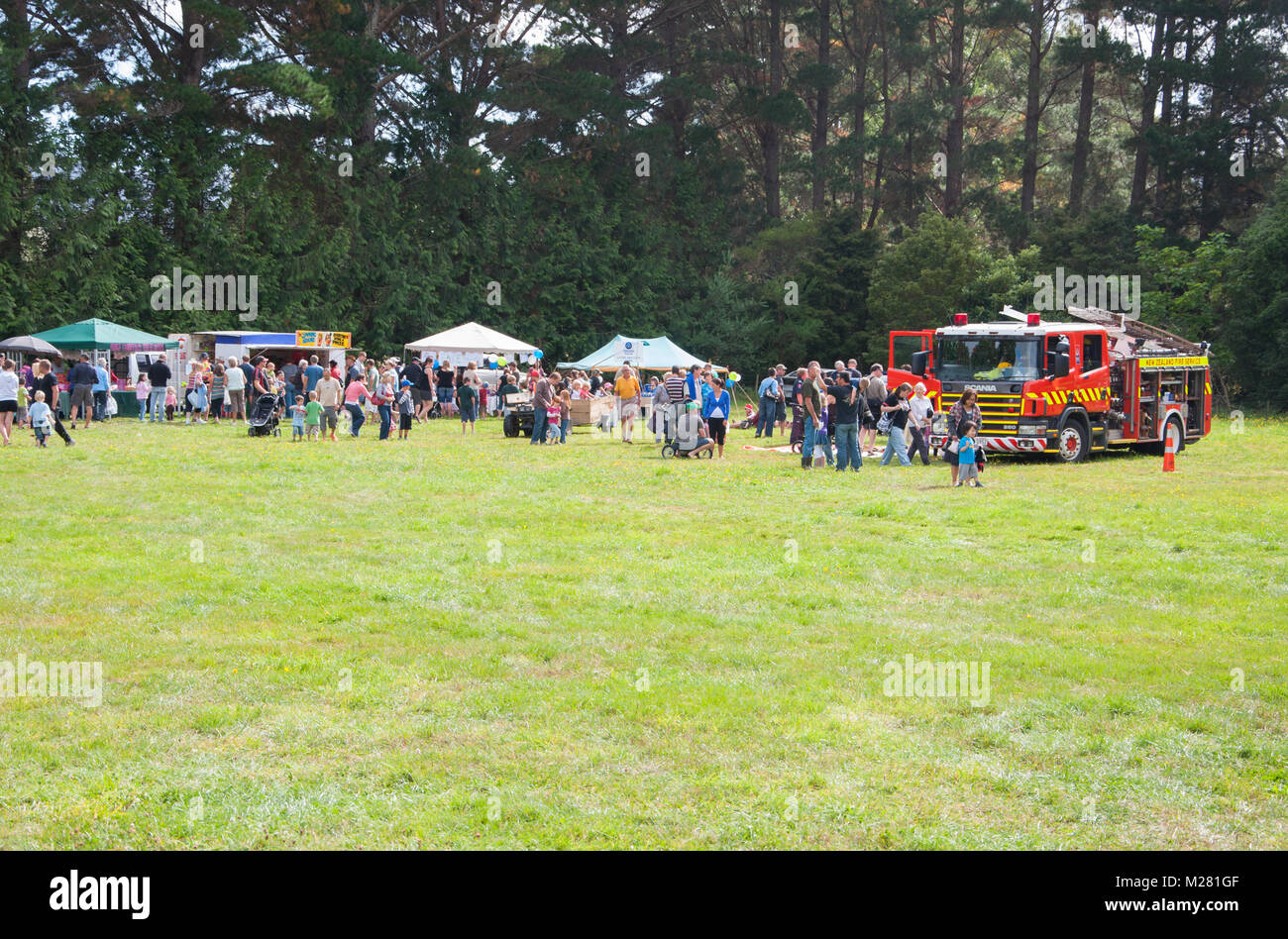 Crowd of trees hi-res stock photography and images - Alamy
