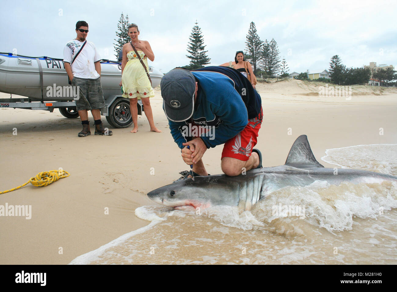 The dying moments of a Great White Shark which washed ashore, caught on ...