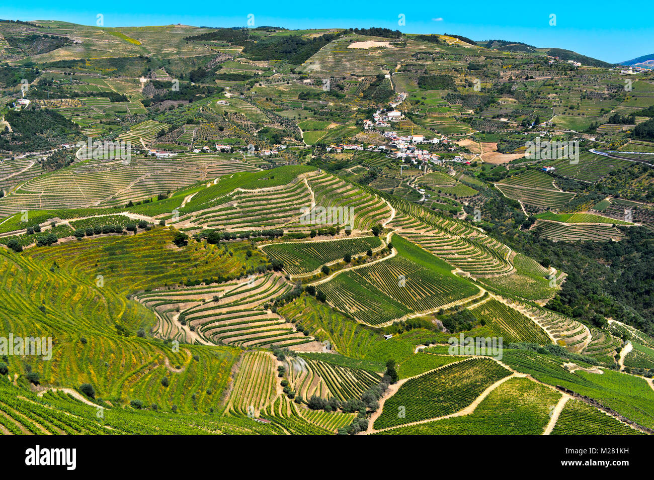 Vineyard region Alto Douro in the valley of the Rio Pinhao, Portugal ...