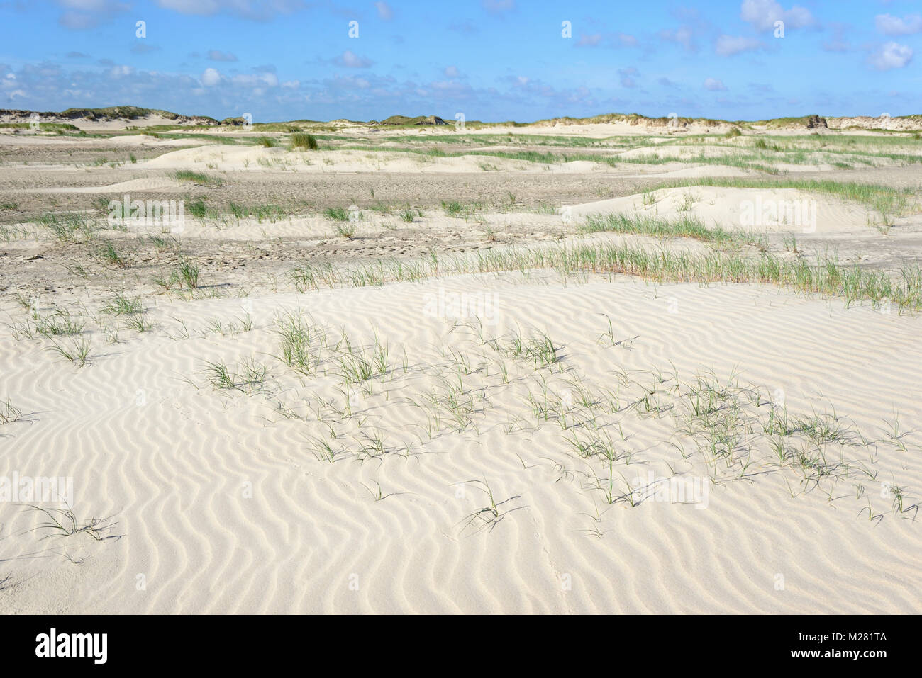 Dune landscape with wavelike structure in white sand, ripple, Norderney ...