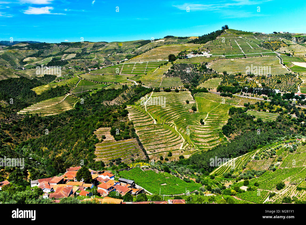 Vineyard region Alto Douro in the valley of Rio Pinhao, Portugal Stock ...