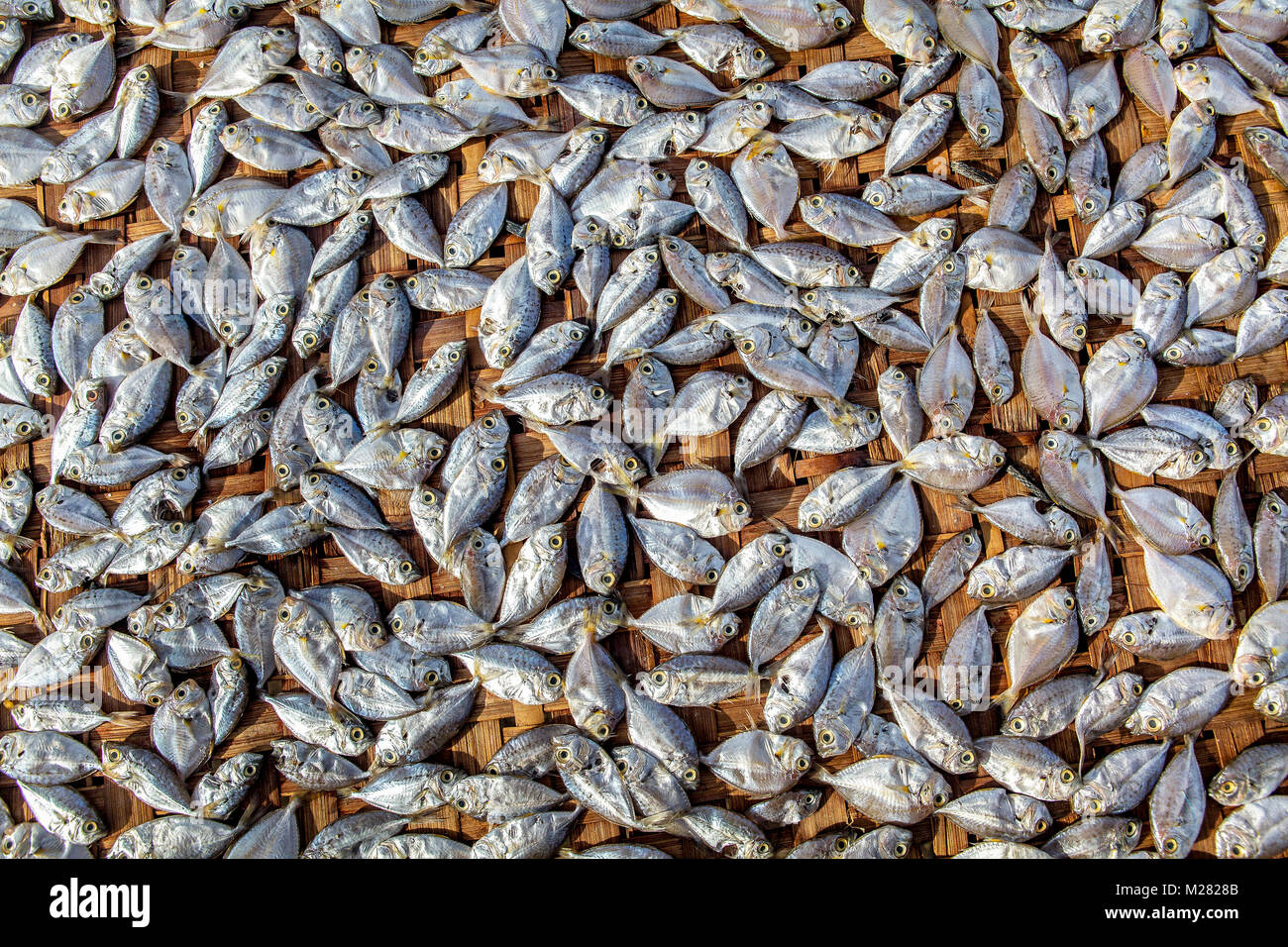 Tuyo hi-res stock photography and images - Alamy