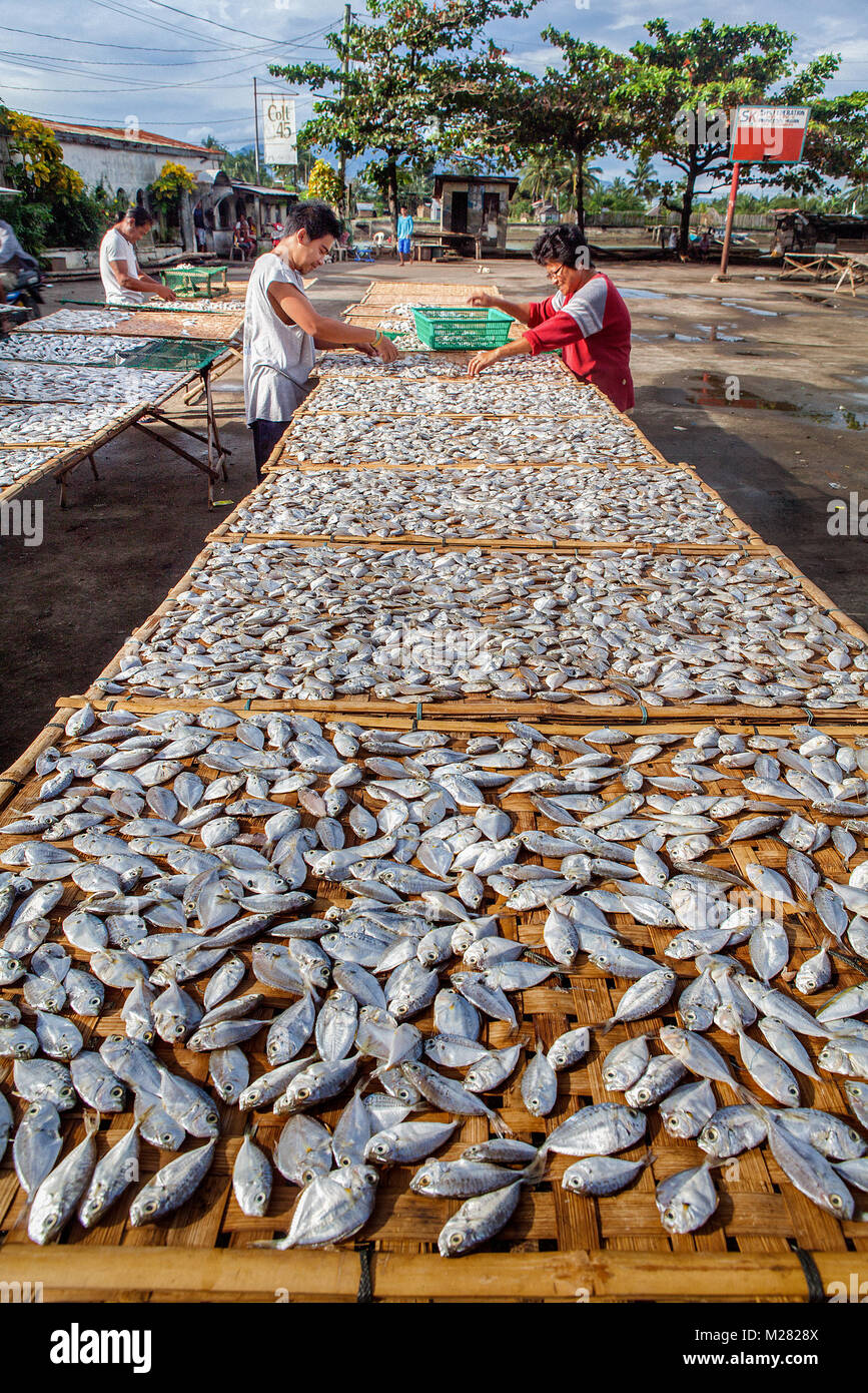 Tuyo hi-res stock photography and images - Alamy