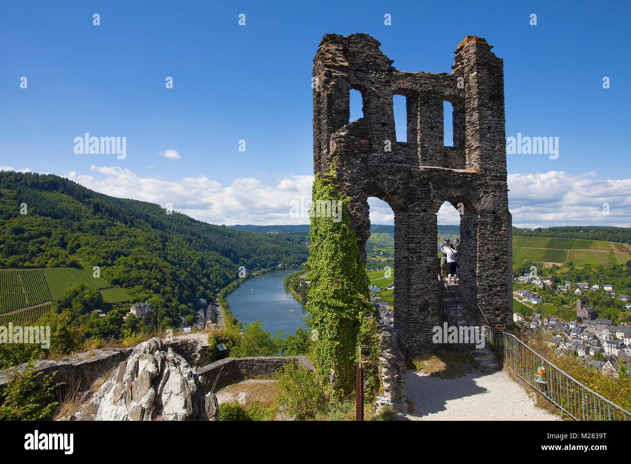 Grevenburg, Greven castle, ruin above Traben-Trarbach, Moselle, Mosel ...