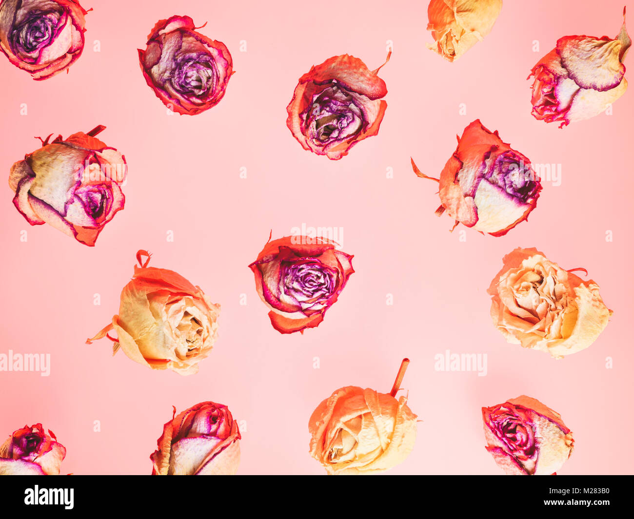 Decoration made of dried rose flowers. Roses background Stock Photo - Alamy