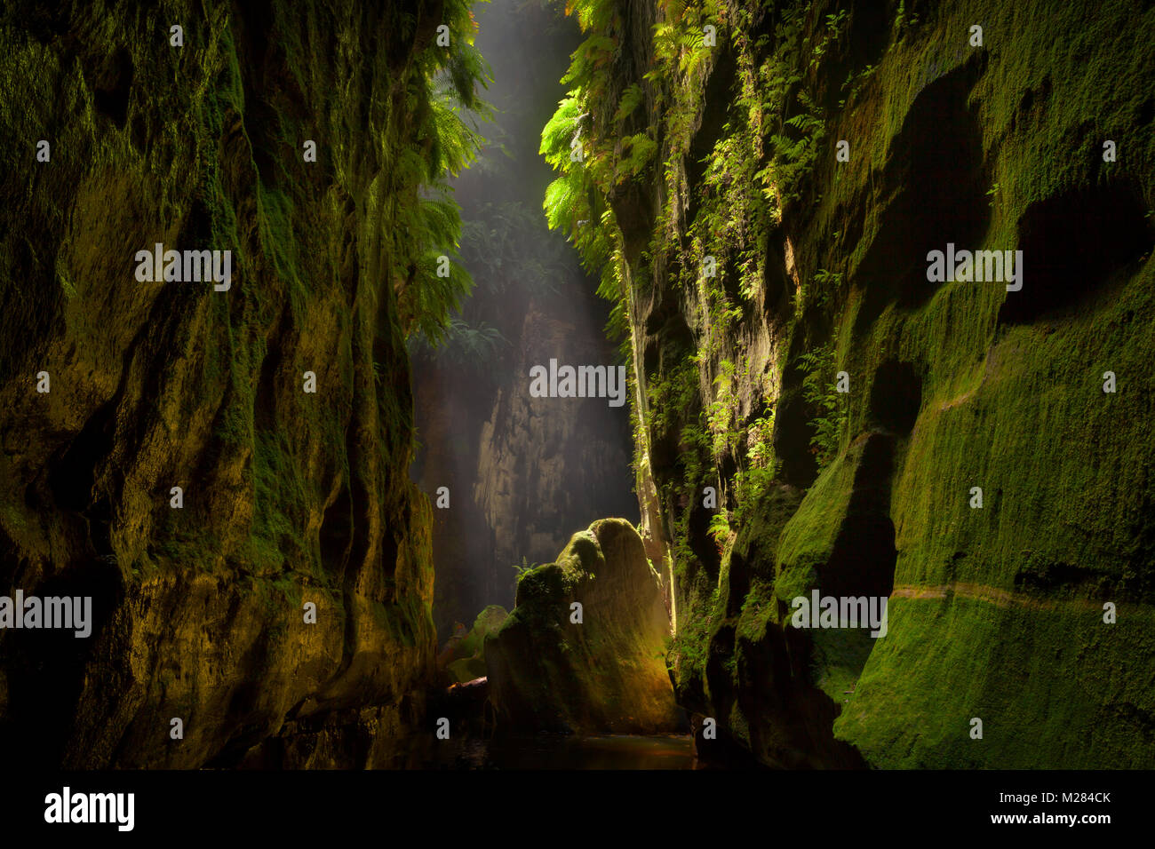 Rays momentarily light up the canyon walls and floor. Claustral Canyon ...