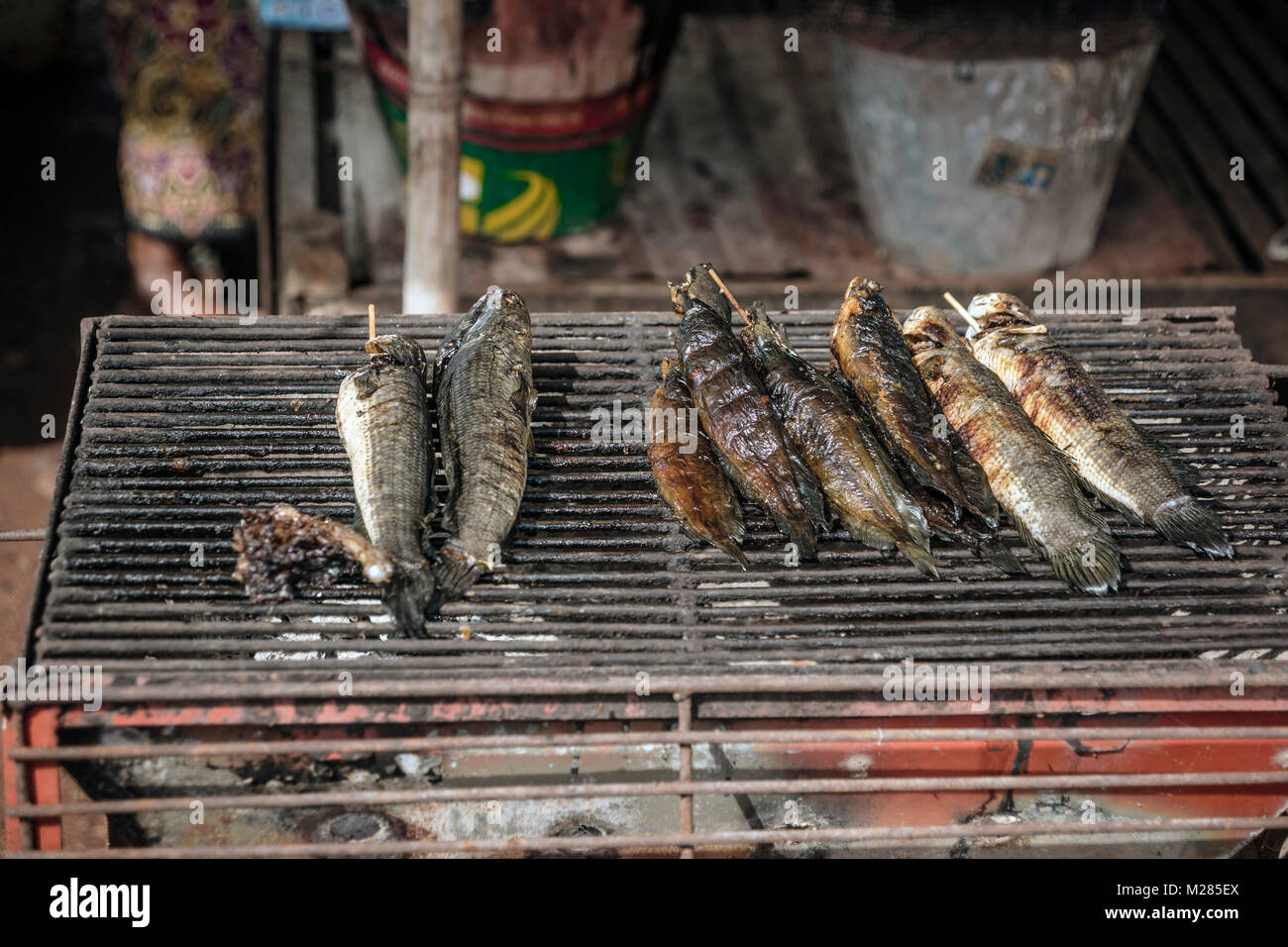 Asian cook fish village hi-res stock photography and images - Alamy