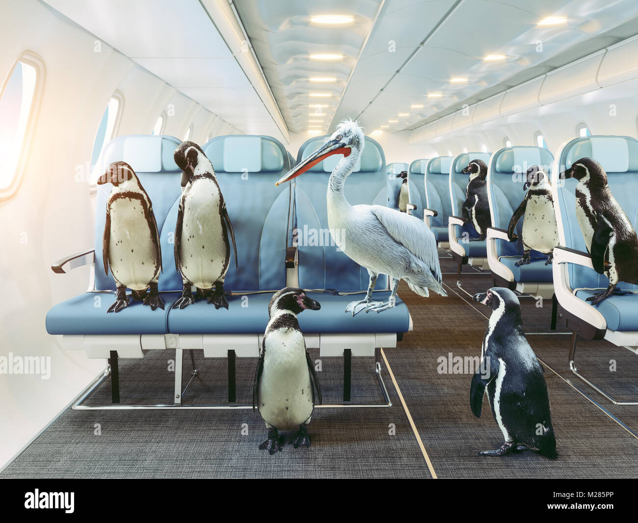 Fly with an airplane hi-res stock photography and images - Alamy