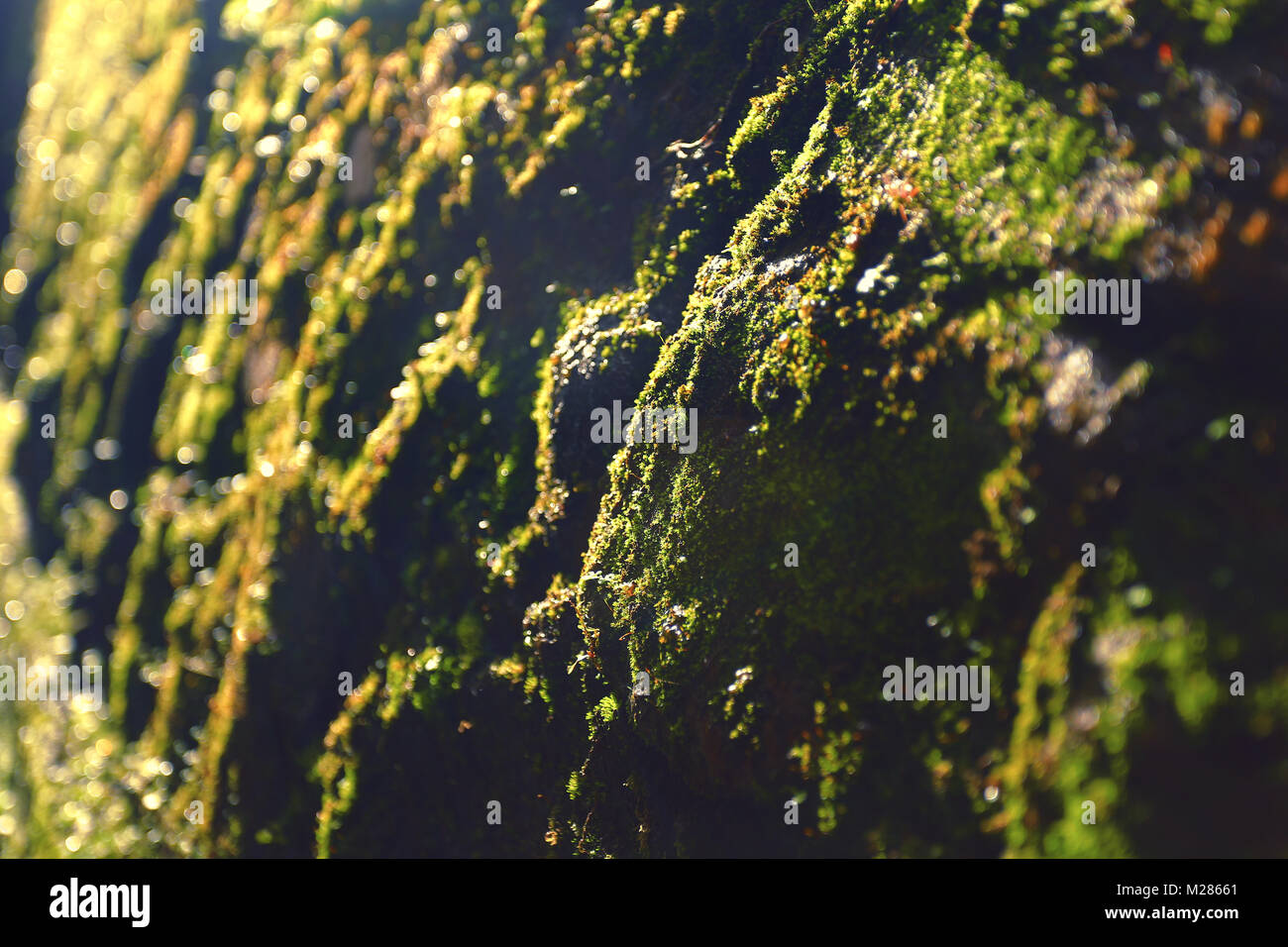 Simple environment hi-res stock photography and images - Alamy