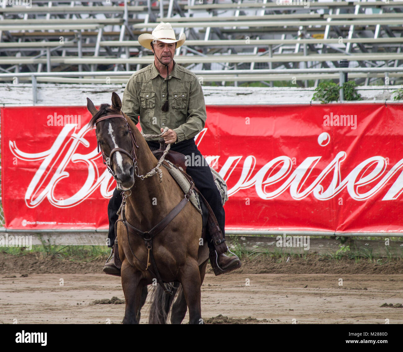 Rodeo in Quebec, Canada Stock Photo - Alamy
