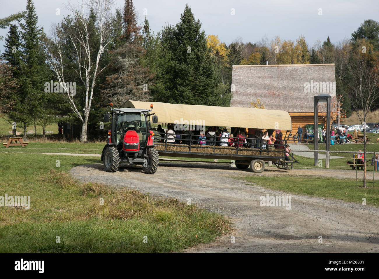 Omega park, Quebec, Canada, animals in the park Stock Photo - Alamy