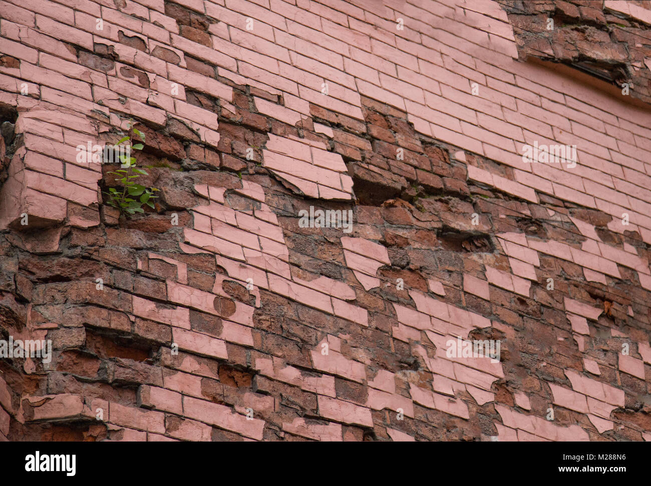 A wall of a historical building, half destroyed Stock Photo - Alamy