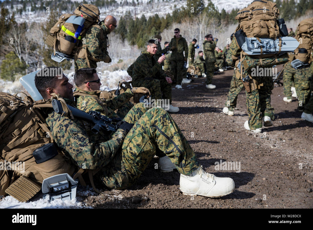 Task Force Artic Edge Marines rest during a hike at Marine Corps ...
