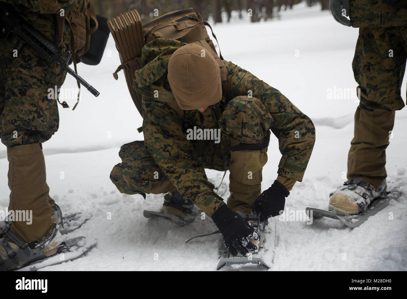 A Marine with Combat Logistics Regiment 25, 2nd Marine Logistics Group ...