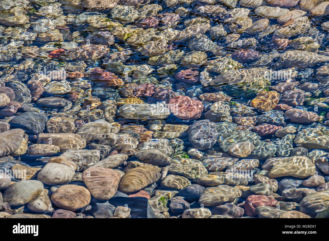 Colorful rocks under moving water in a creek Stock Photo - Alamy