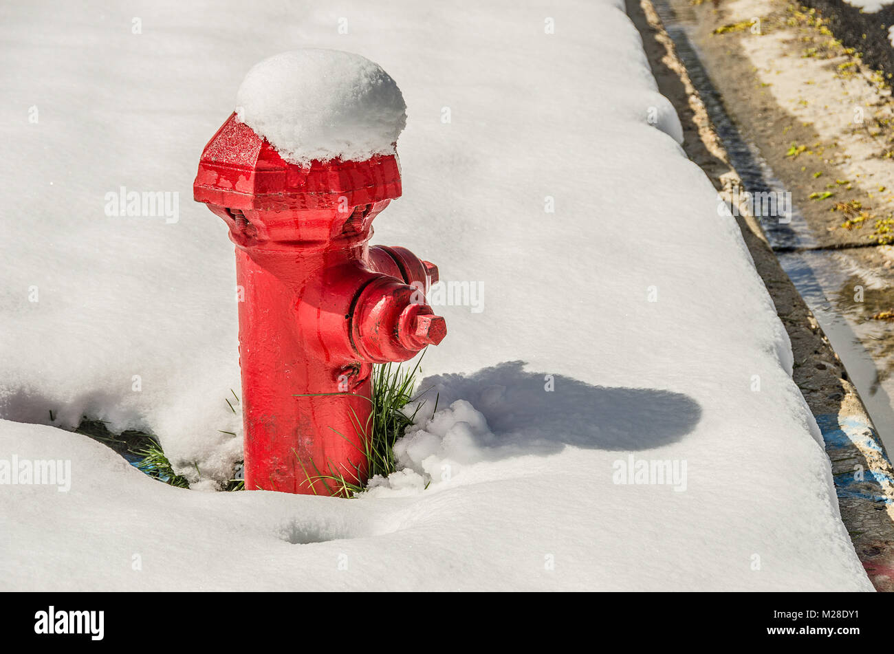 Snow-topped red fire hydrant after a heavy, wet spring snowfall Stock ...