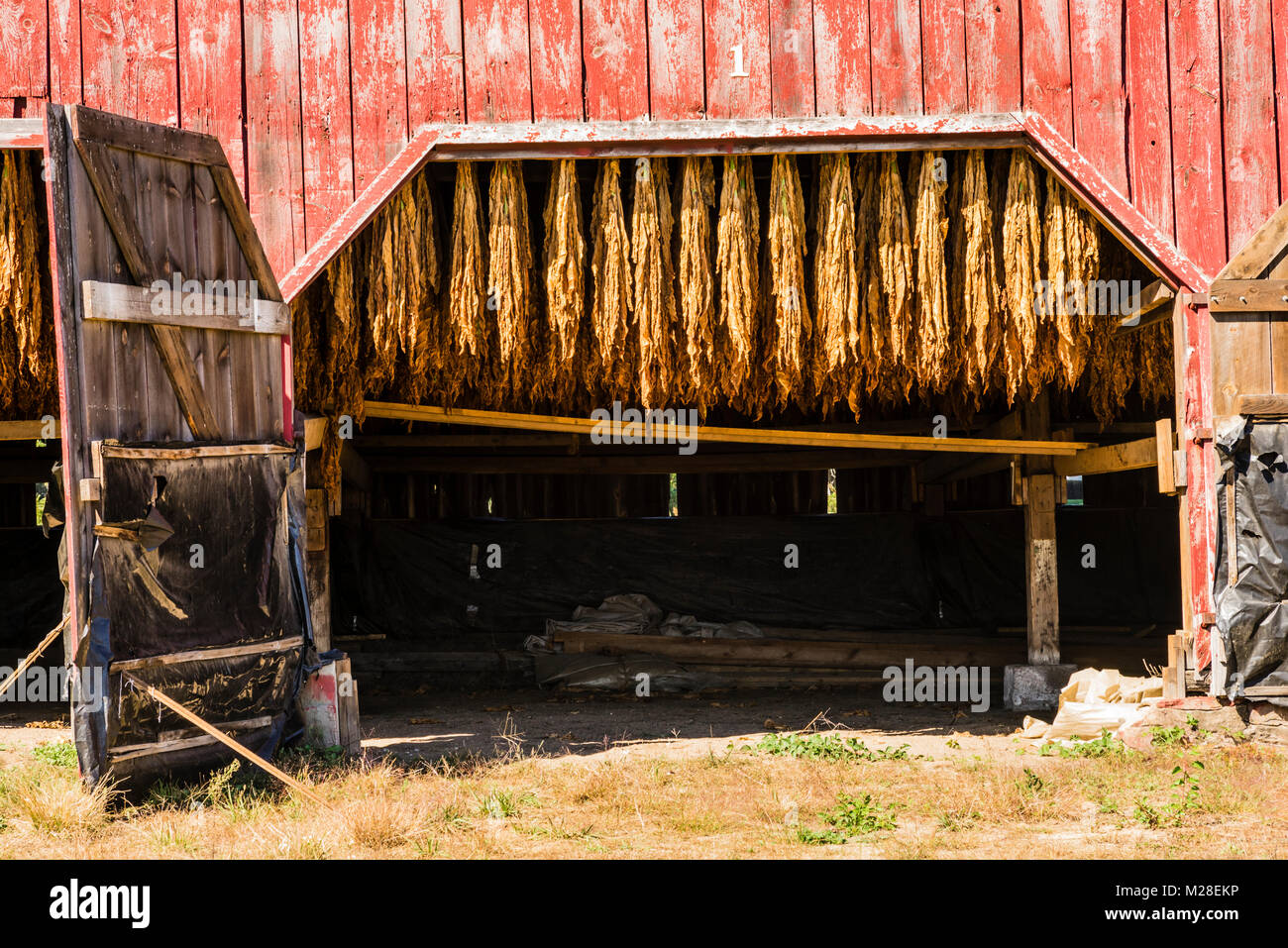 Tobacco barns hi-res stock photography and images - Alamy