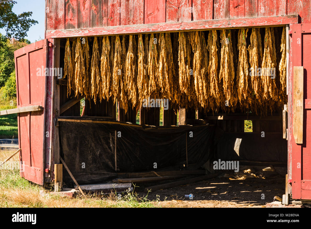 Tobacco Barns Chicopee, Massachusetts, USA Stock Photo - Alamy