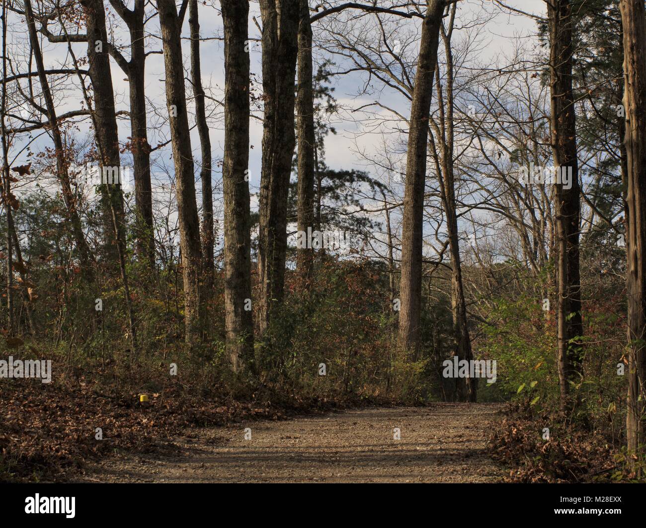 Bernheim forest hi-res stock photography and images - Alamy