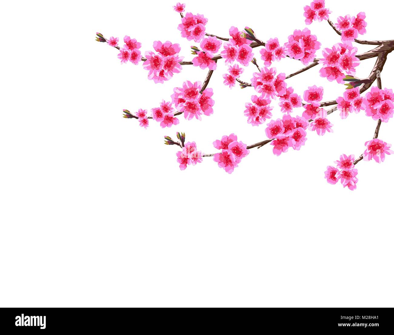 Vector branched tree Stock Vector Images - Alamy