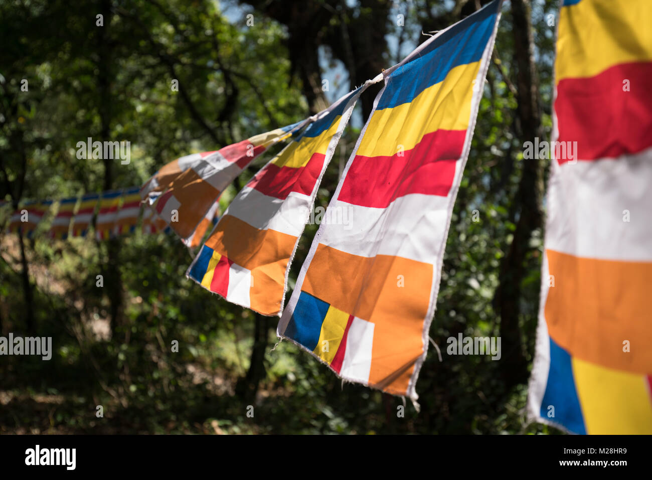 Buddhist flags color bar vertical and horizontal. It's decorative in ...