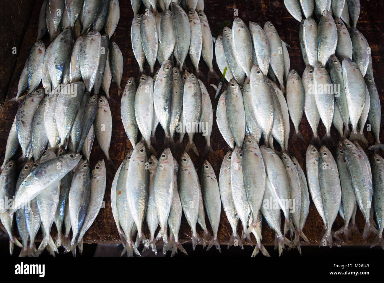 Protein food groups hi-res stock photography and images - Alamy