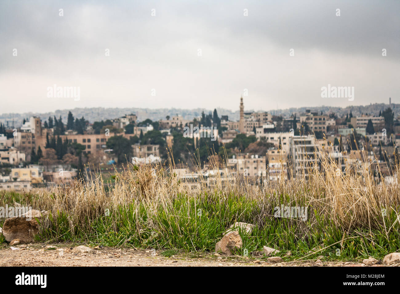 Amman citadel view hi-res stock photography and images - Alamy