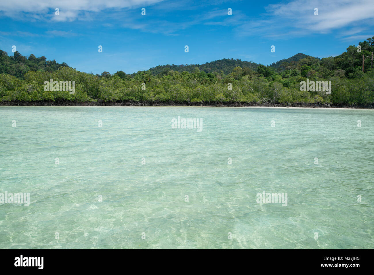 Sea island front view seascape sunny with tree around blue sky Stock ...