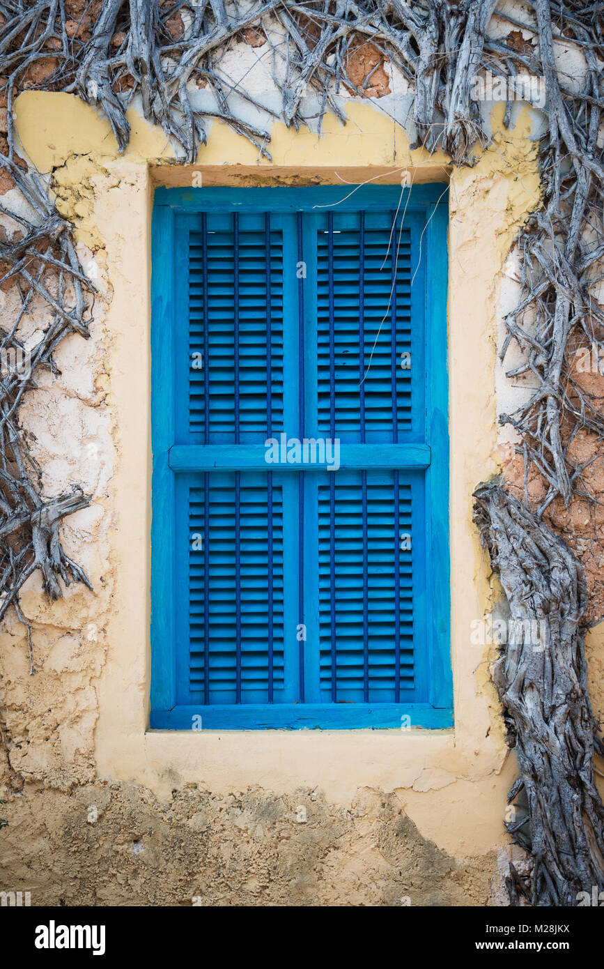 Old blue window closed, Prison island, Zanzibar Stock Photo - Alamy