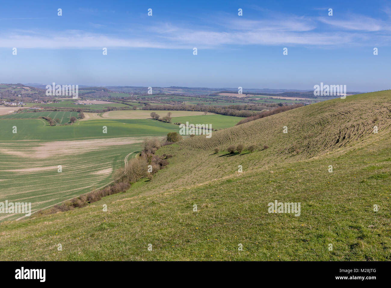 Cranborne Chase Dorset England April 20, 2016 On the border of 3 ...