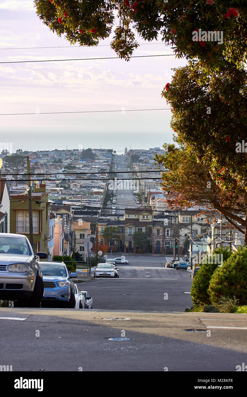 San francisco street scene trees hi-res stock photography and images ...