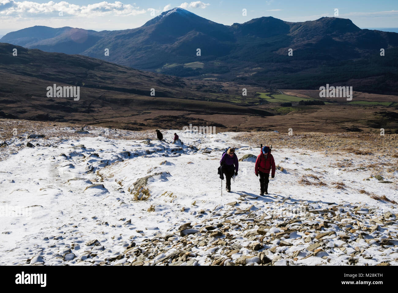 Hikers hiking up hill on Rhyd Ddu path on lower slopes of Mount Snowdon ...