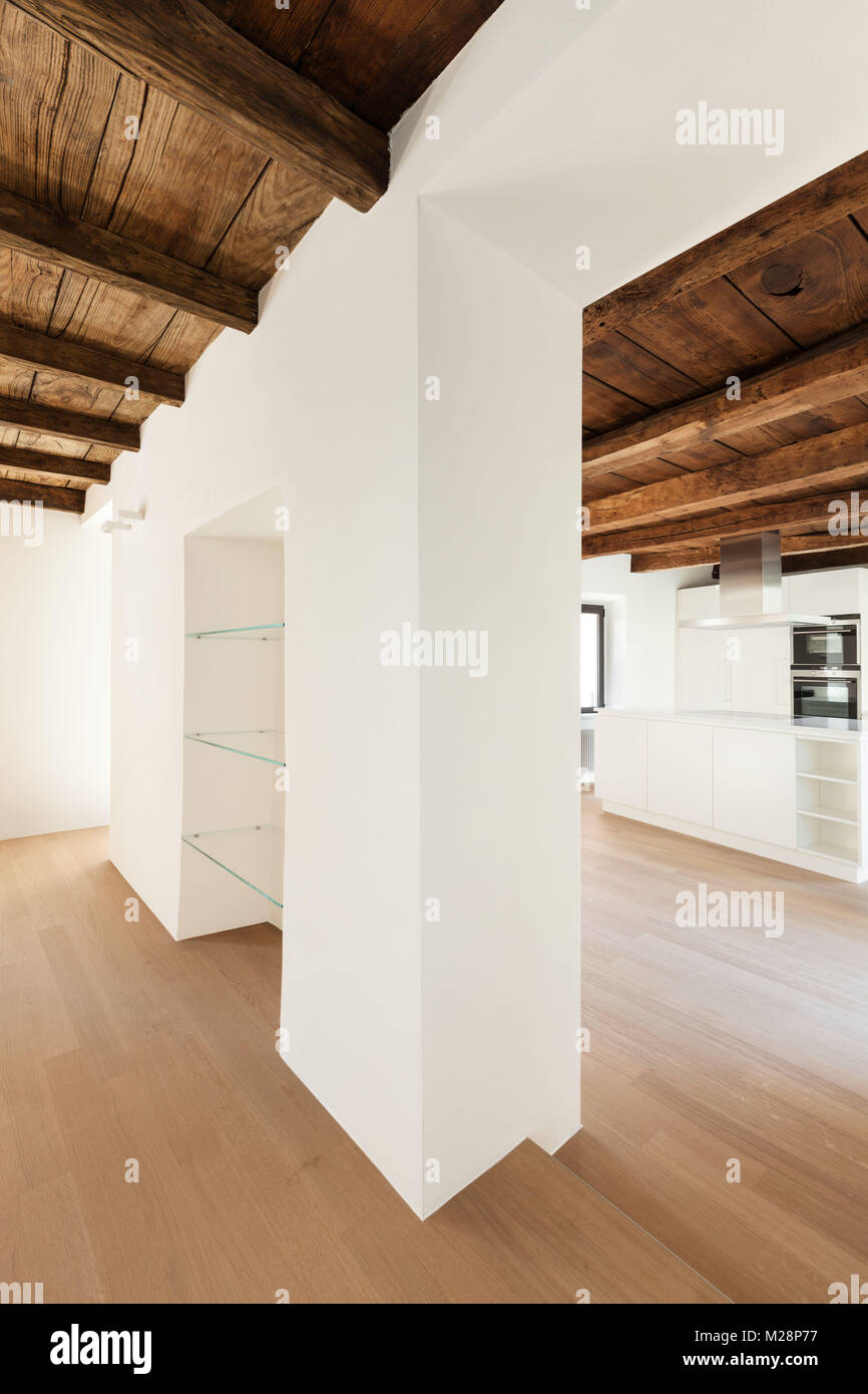 beautiful modern loft, view from the hall Stock Photo - Alamy