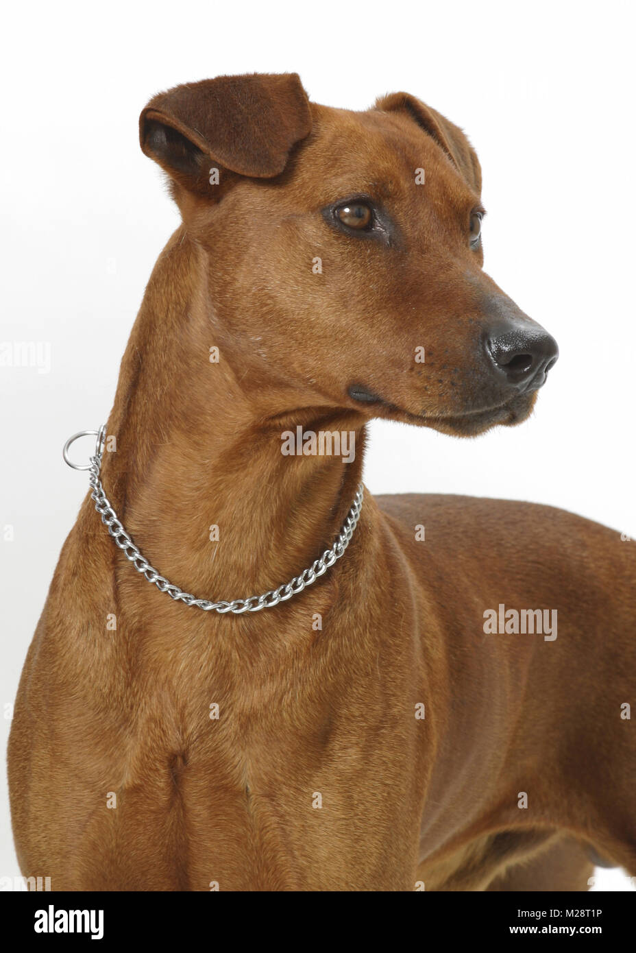 German gr hi-res stock photography and images - Alamy