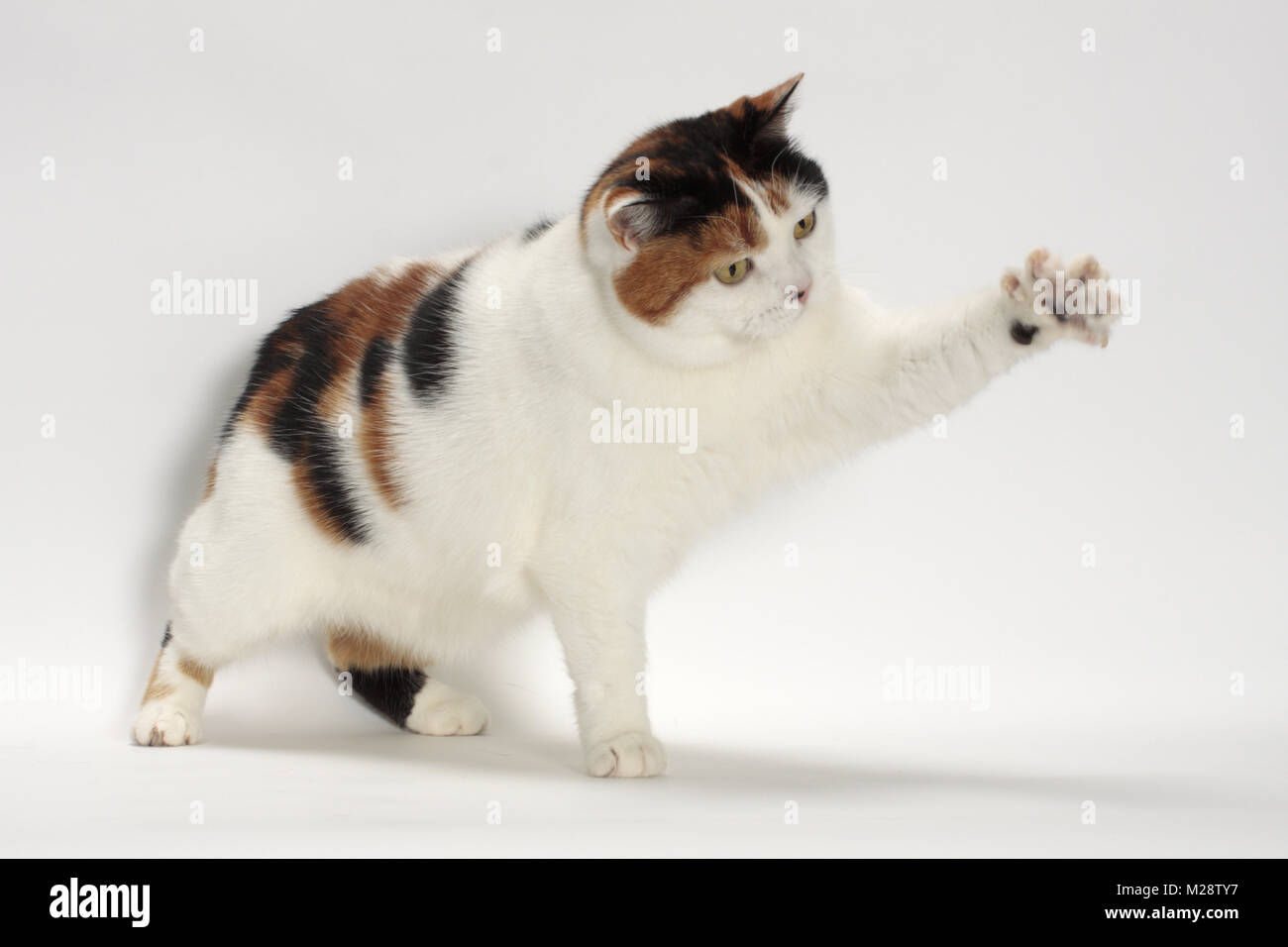 Manx landscape photography hi-res stock photography and images - Alamy