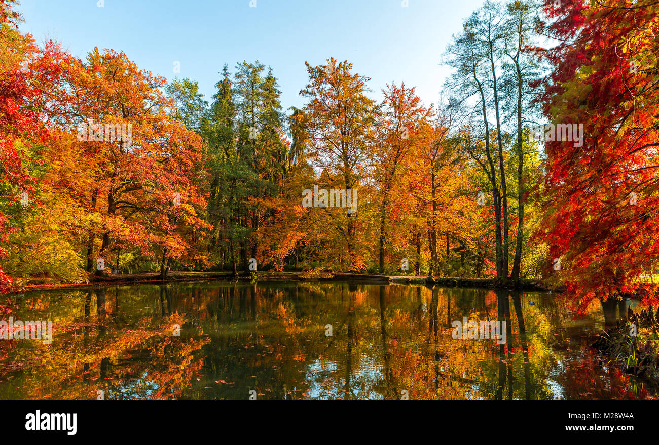 Fall foliage collection hi-res stock photography and images - Alamy