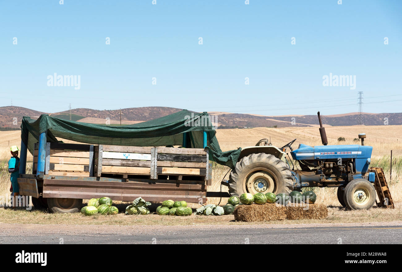 South africa farming vegetables hi-res stock photography and images - Alamy